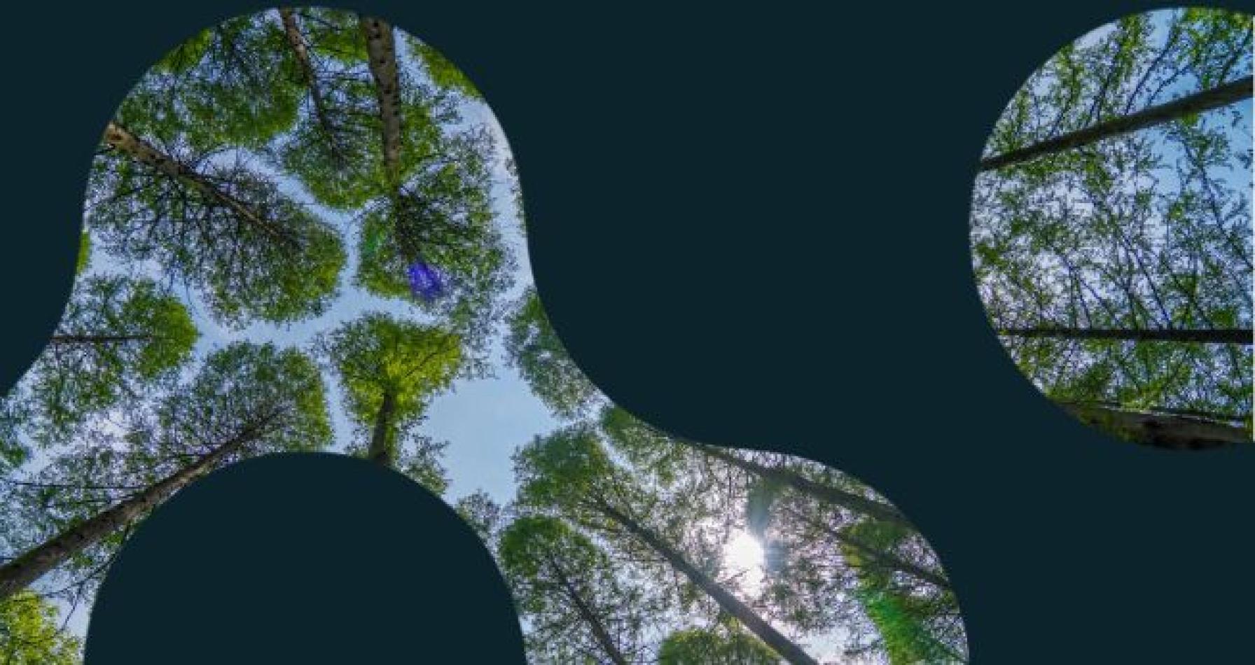 OroraTech: Detect, respond, protect. The leading wildfire management ...