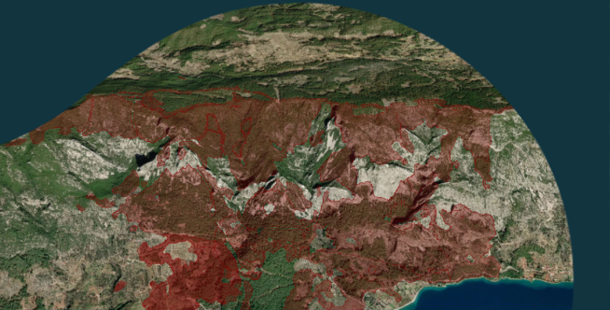 OroraTech: Detect, respond, protect. The leading wildfire management ...