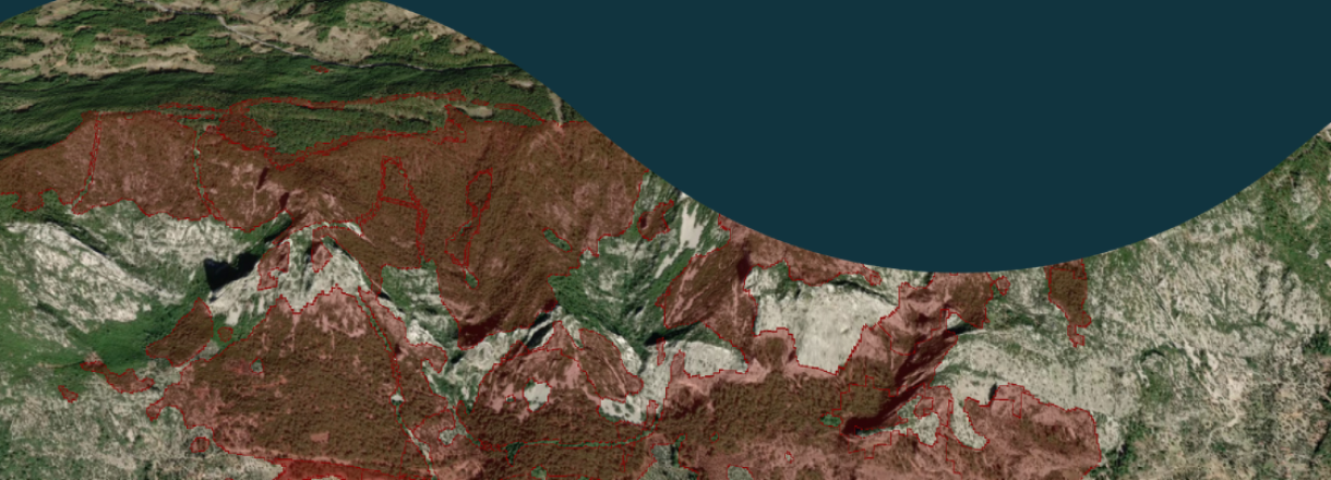 OroraTech: Detect, respond, protect. The leading wildfire management ...